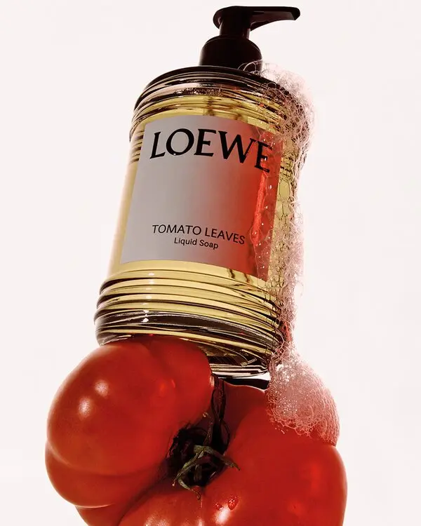 LOEWE PERFUMES Tomato Leaves Liquid Soap 12 Oz