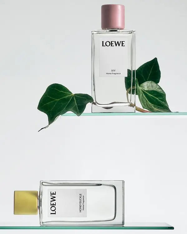 LOEWE PERFUMES Ivy Home Fragrance 5.1 Oz