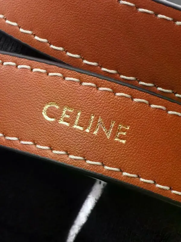 Celine Triomphe Heart Tote Bag