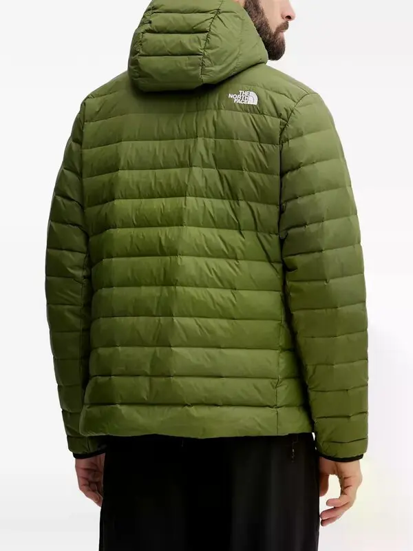 The North Face Classic Hooded Down Jacket