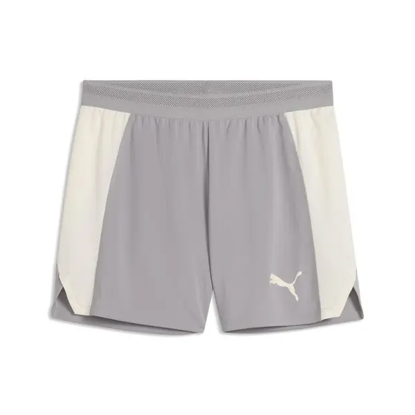 PUMA Individualblaze Soccer Training Shorts - Gray