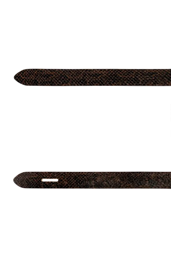 Isabel Marant Étoile Lecce Belt