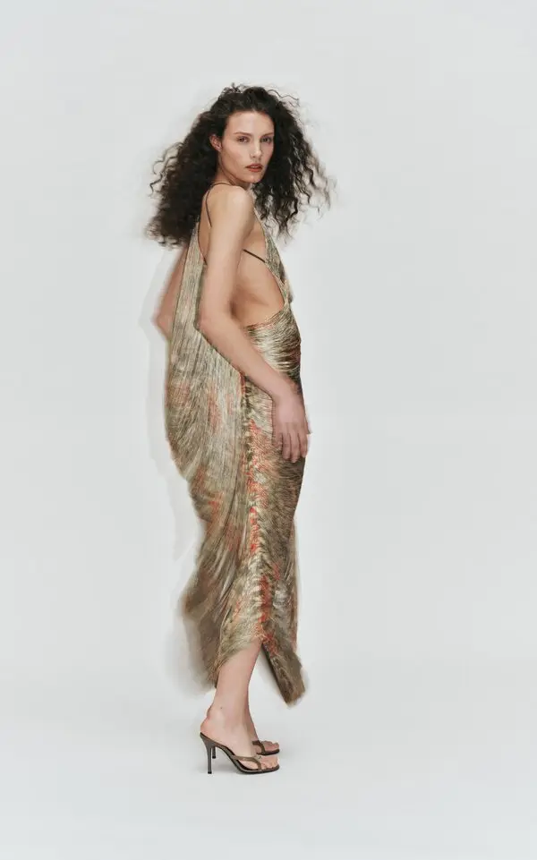 Christopher Esber Warped Wallpaper Printed Tassel Gown