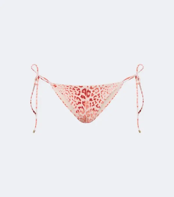 Roberto Cavalli Leopard-print Bikini Bottoms - Pink