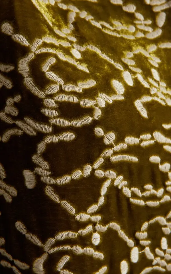 Christopher Esber Embroidered Silk Velvet Robe Coat