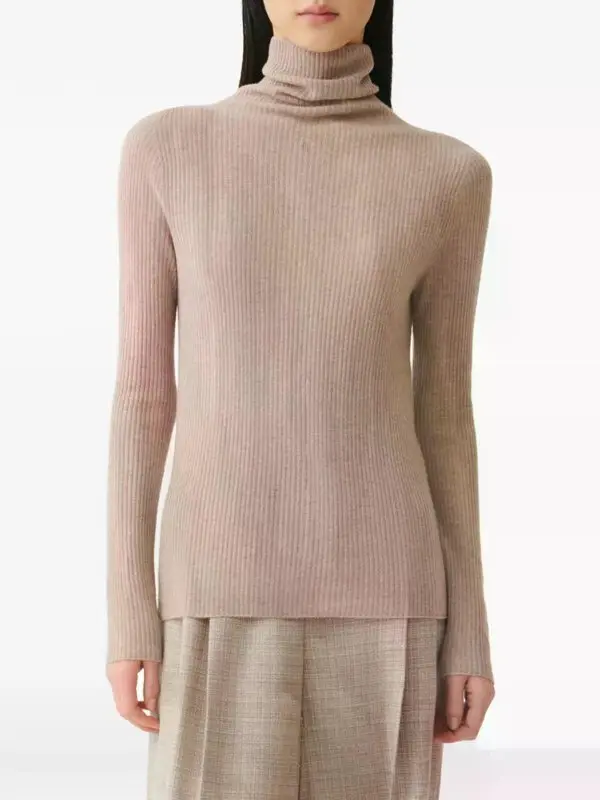 Fabiana Filippi Ribbed Roll-neck Sweater