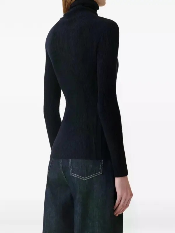 Fabiana Filippi Ribbed Roll-neck Sweater