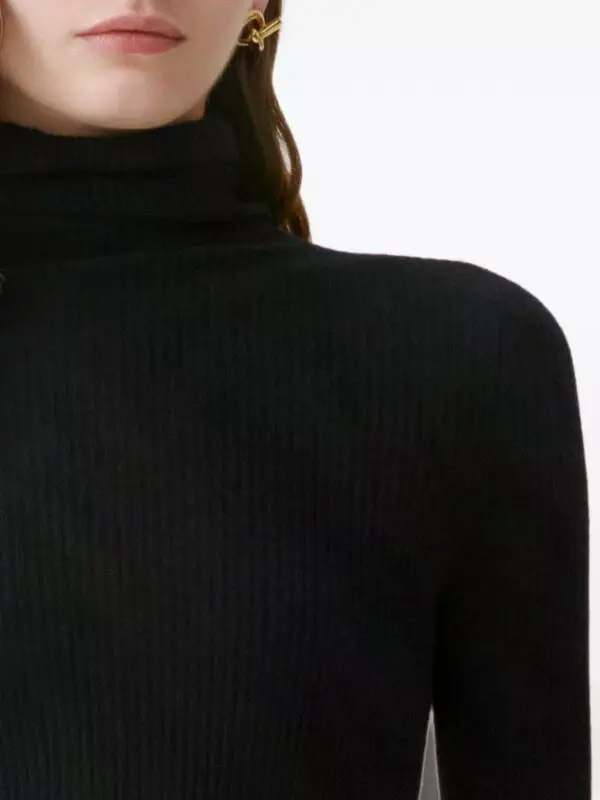 Fabiana Filippi Ribbed Roll-neck Sweater