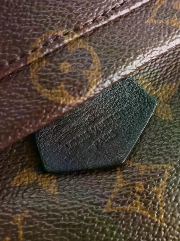LOUIS VUITTON 2020 Monogram Mini Palm Springs Backpack