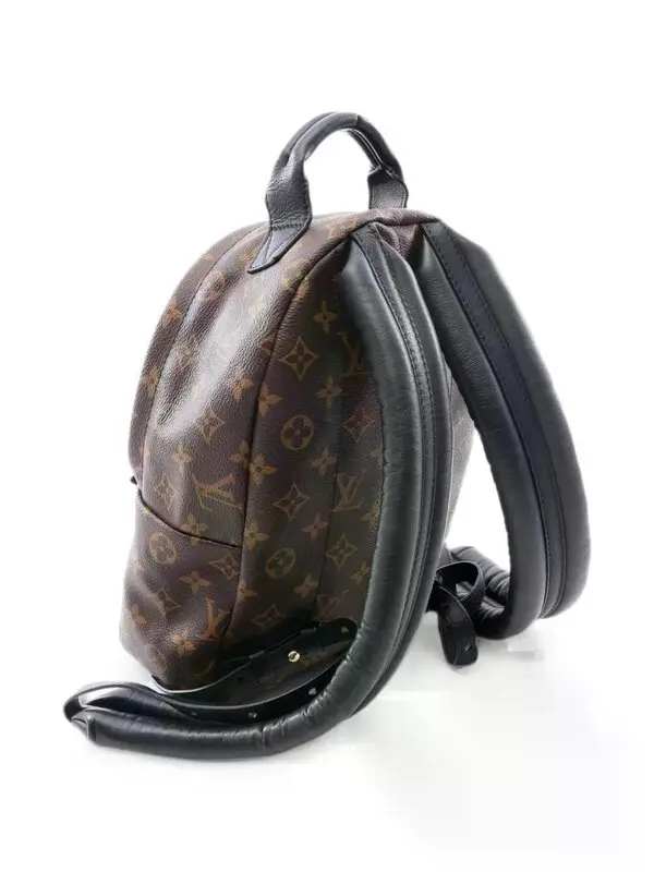 LOUIS VUITTON 2019 Palm Springs Pm Monogram Backpack