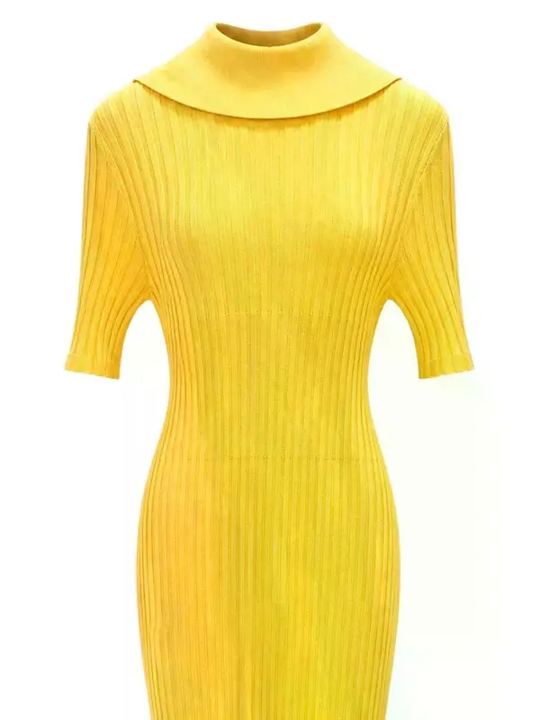 Elisabetta Franchi Ribbed-knit Roll-neck Midi Dress