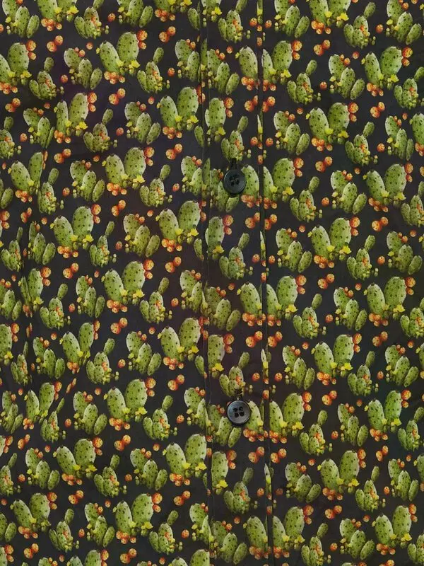 Dolce & Gabbana Gold Cactus-print Shirt