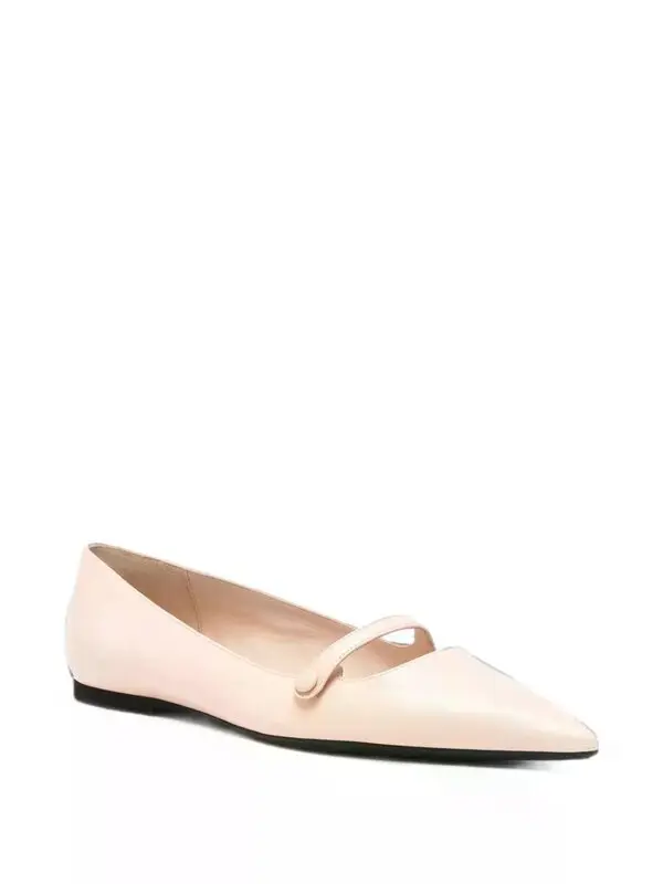 N°21 Pointed-toe Flat Pumps