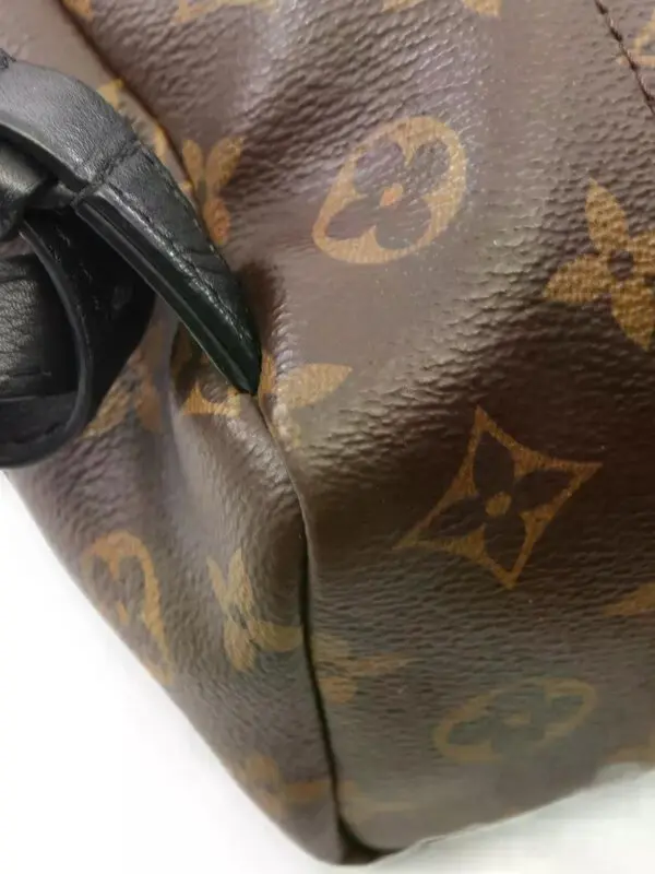 LOUIS VUITTON 2021 Monogram Reverse Palm Springs Backpack