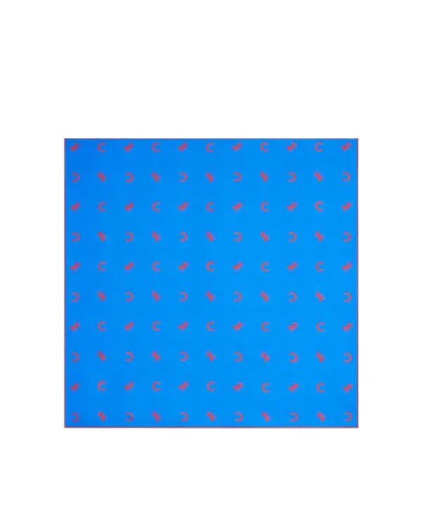 Celine Square In Silk Twill - Blue/red