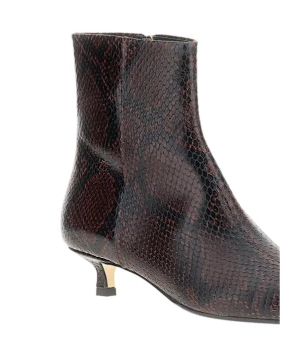 AeydĒ Pointed-toe Ankle Boots