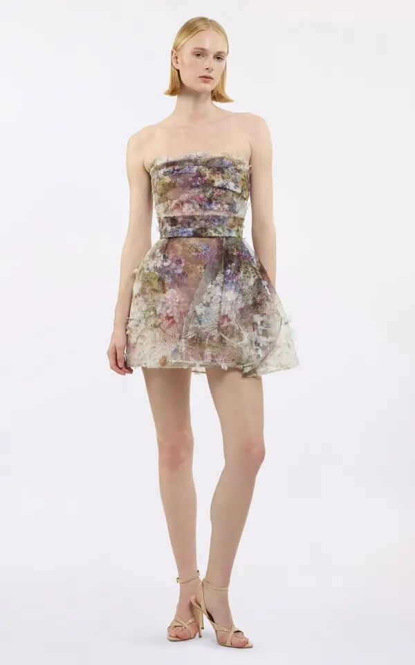 Elie Saab Floral-embellished Organza Mini Dress