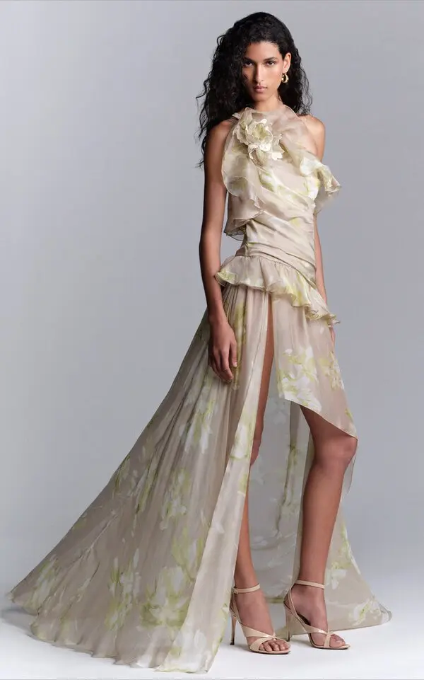 Elie Saab Asymmetrical Draped Ruffle Silk-chiffon Gown