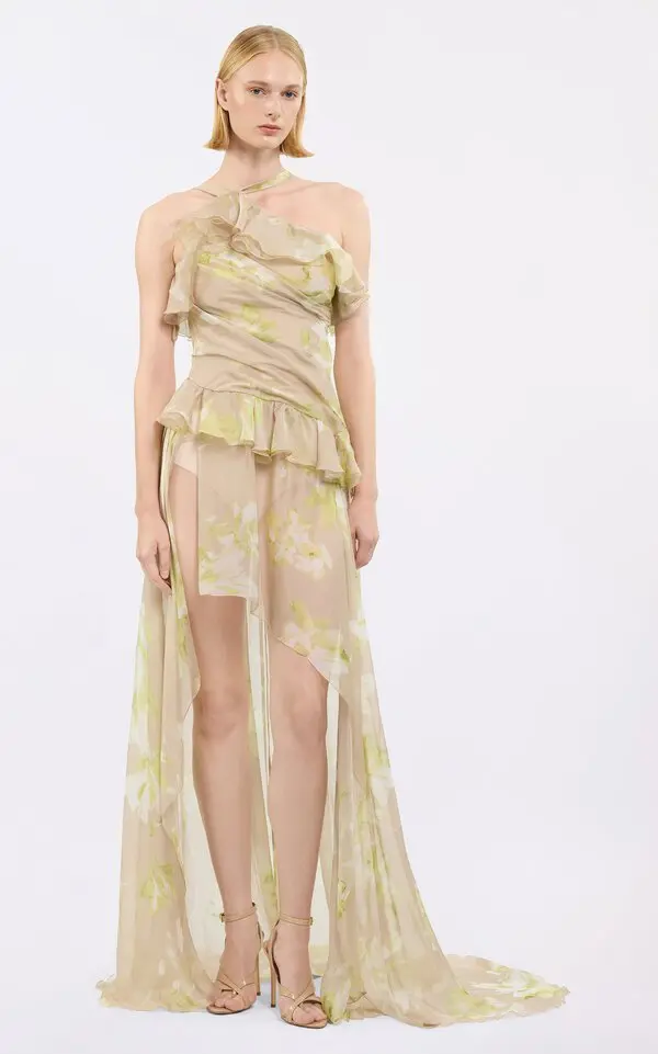 Elie Saab Asymmetrical Draped Ruffle Silk-chiffon Gown