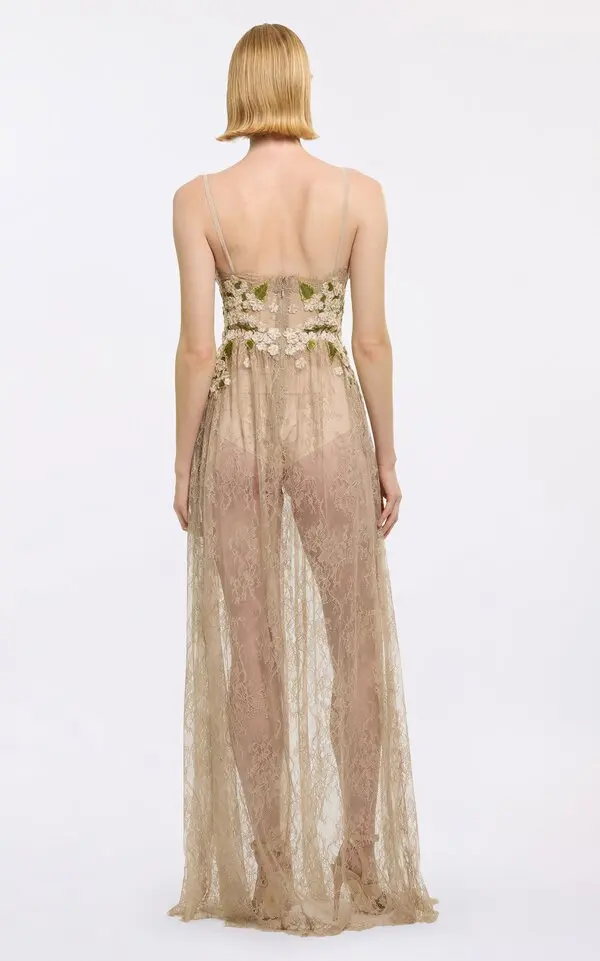 Elie Saab Floral-embellished Lace Maxi Dress