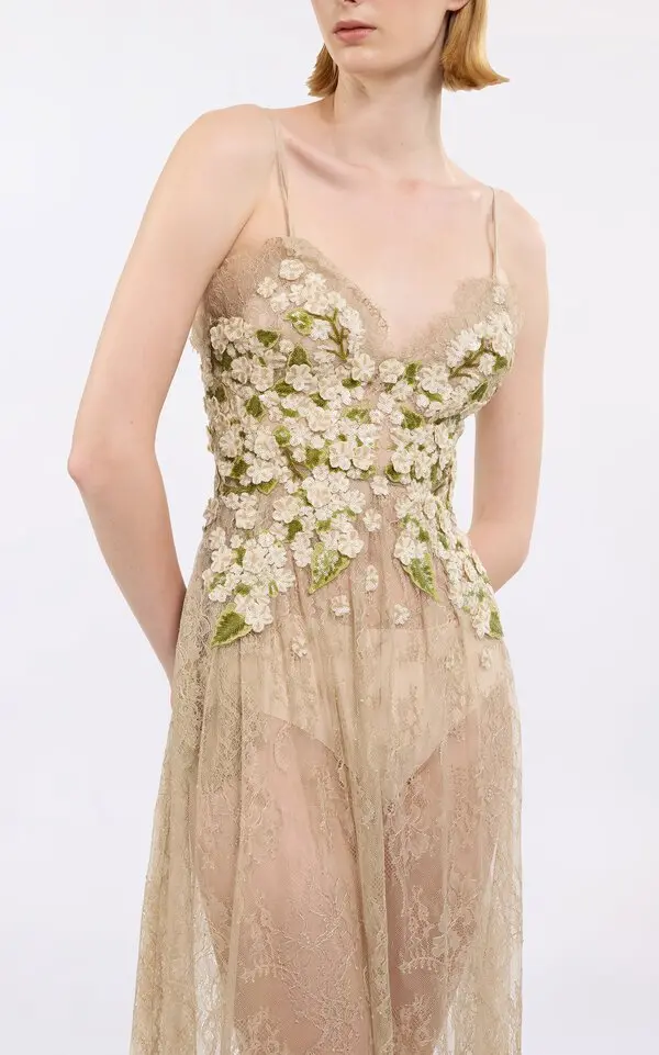 Elie Saab Floral-embellished Lace Maxi Dress