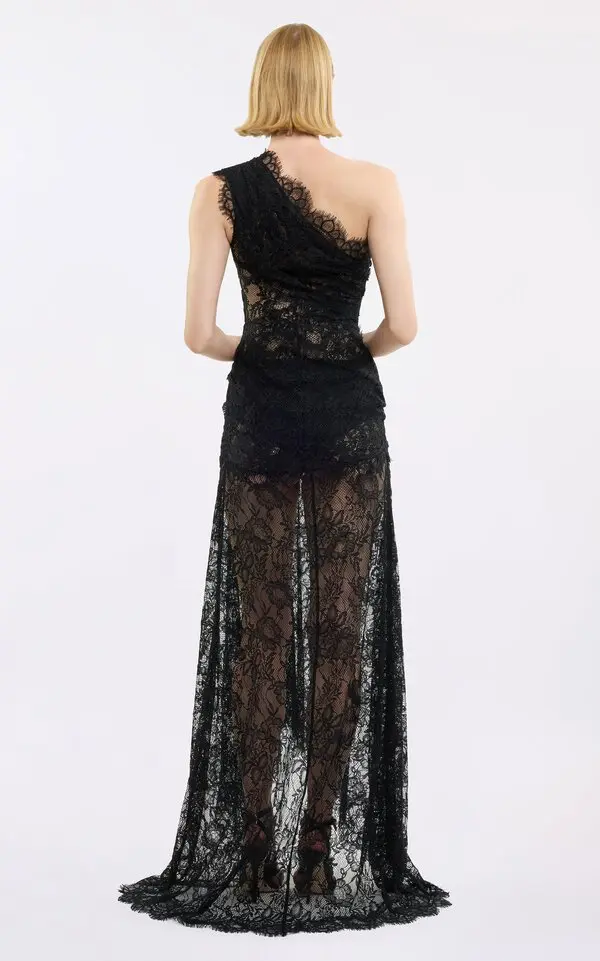 Elie Saab One-shoulder Lace Maxi Dress
