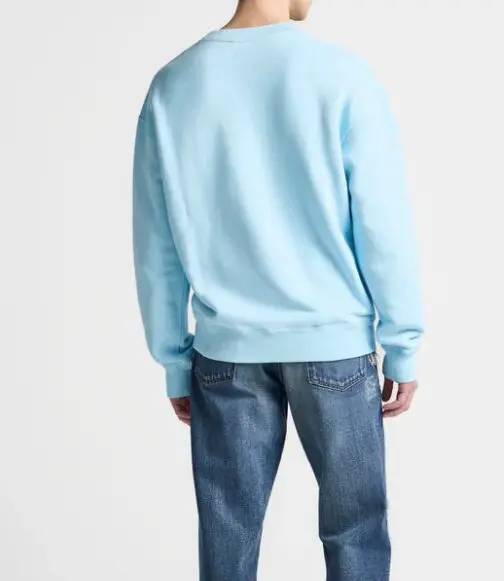 J.W.ANDERSON Painted Birds Sweatshirt In Sky Blue