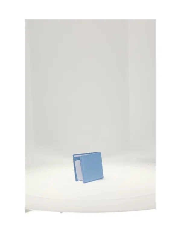 Celine Bi-fold Wallet With Coin - Multicolor
