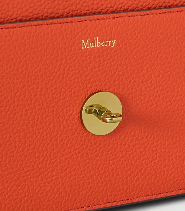 Mulberry Small Leather Darley Cross-body Bag