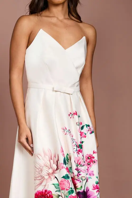 Coast Wired Bandeau Border Print Maxi Dress