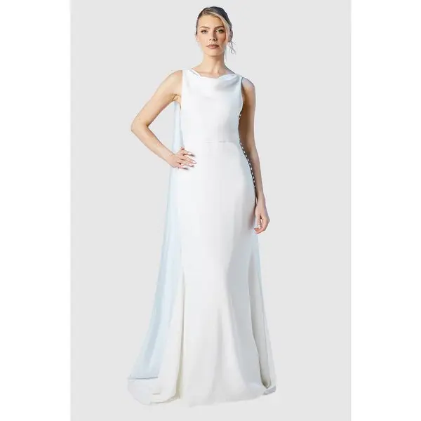 Coast Chiffon Cowl Neck Maxi Dress With Cape Effect