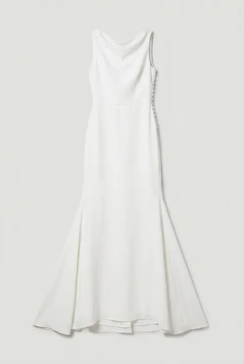 Coast Chiffon Cowl Neck Maxi Dress With Cape Effect