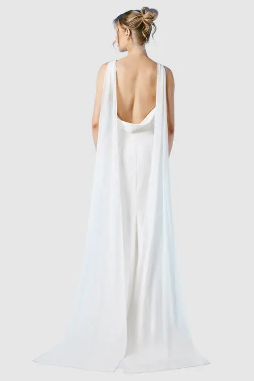 Coast Chiffon Cowl Neck Maxi Dress With Cape Effect