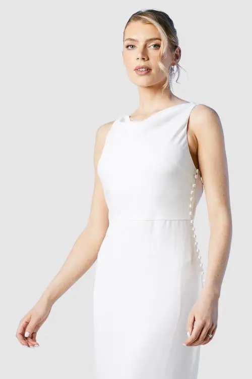 Coast Chiffon Cowl Neck Maxi Dress With Cape Effect