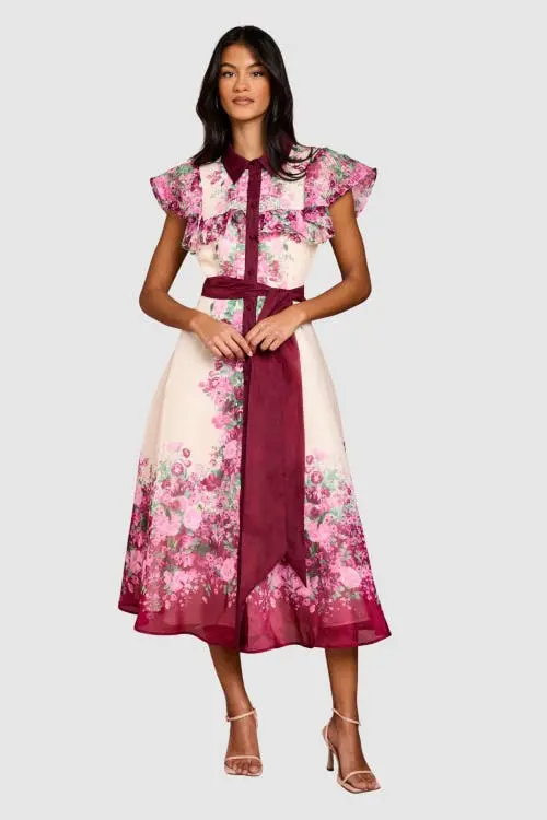 Coast Petite Floral Frill Collared Midi Dress - Berry