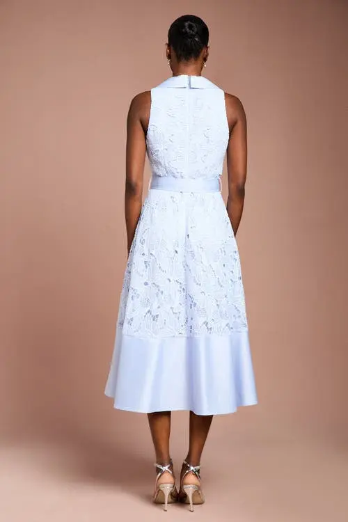 Coast Satin Trim Lace Collard Midi Dress