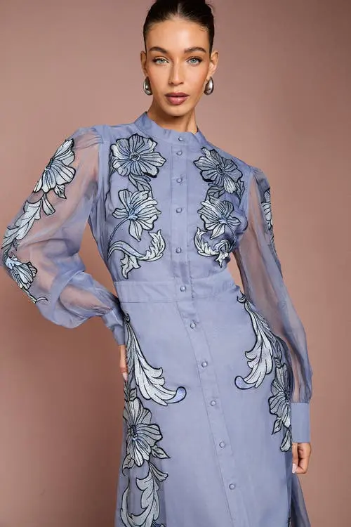 Coast Embroidered Sheer Sleeve Midi Dress