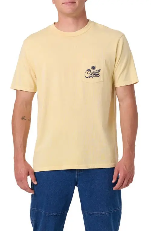 O'Neill Twisted Sun Vintage Graphic Pocket T-shirt - Pineapple Slice