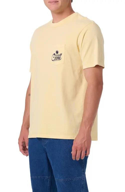 O'Neill Twisted Sun Vintage Graphic Pocket T-shirt - Pineapple Slice