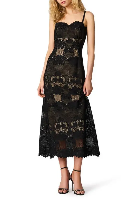 Steve Madden Willow Scalloped Floral Lace Midi Dress - Black
