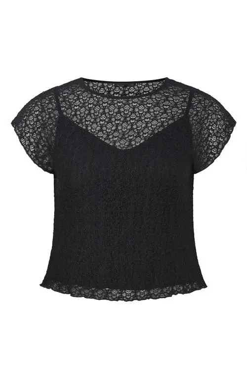 City Chic Brie Lace Knit Top