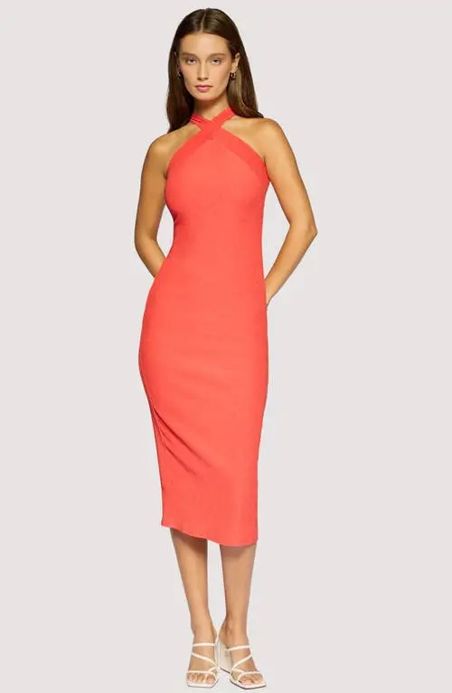 LOST + WANDER Arancia Crush Halter Midi Dress