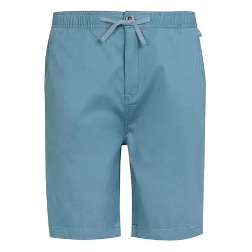 REGATTA Aldan Chino Shorts - Coronet Blue