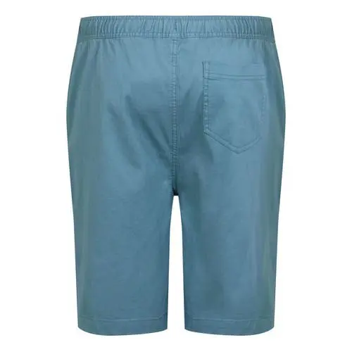REGATTA Aldan Chino Shorts - Coronet Blue