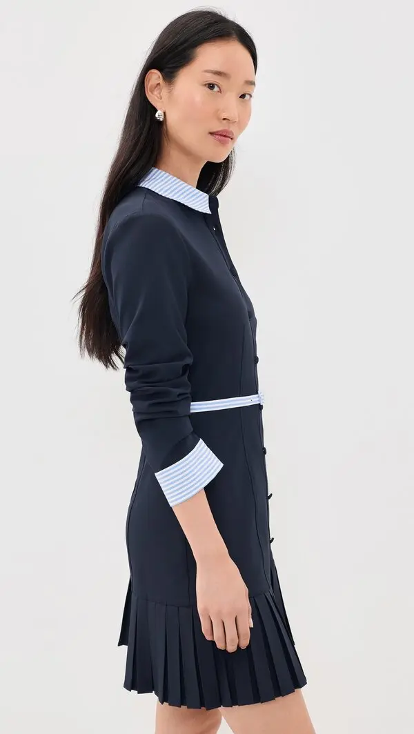 Cinq À Sept Stripe Shirting Lucilla Dress