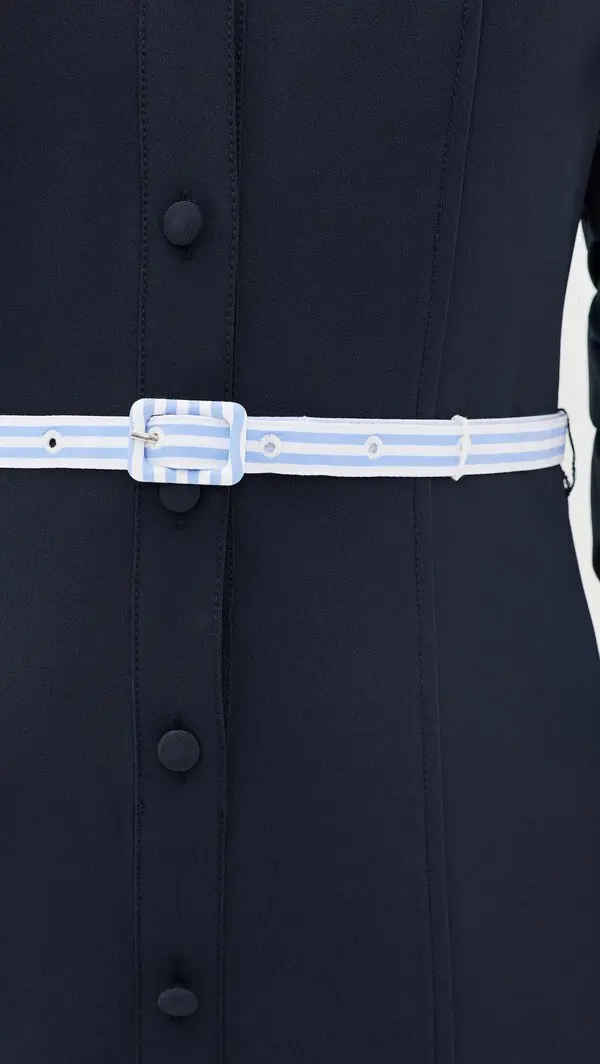 Cinq À Sept Stripe Shirting Lucilla Dress