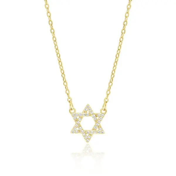 SHYMI Pave Star Of David Necklace