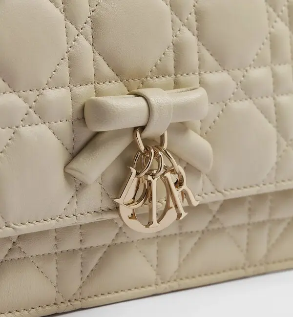 Dior Mini Bag