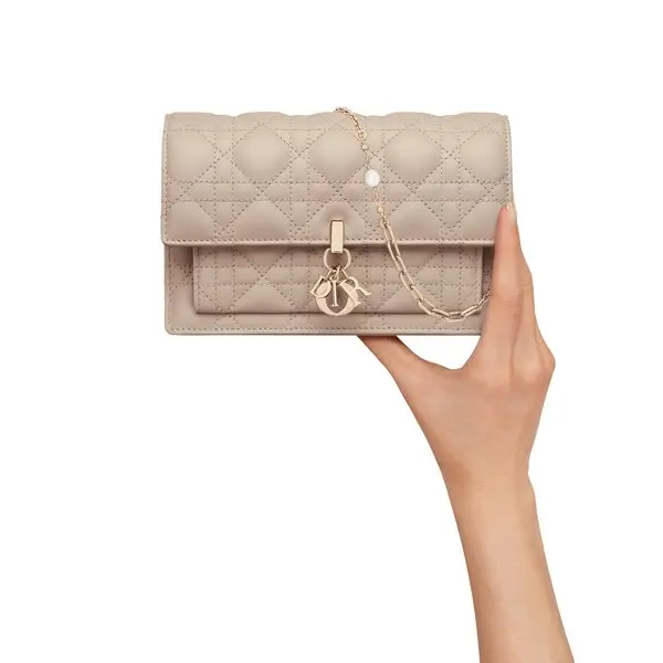 Dior Quilted Pouch With Chain