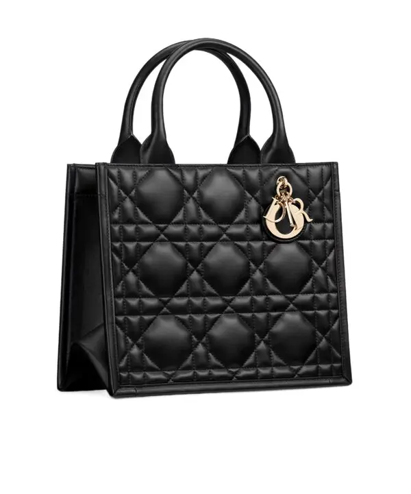 Dior Small Book Tote